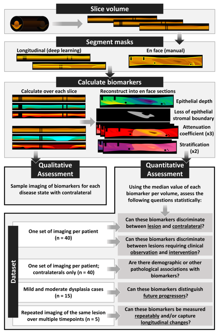 Optical Cancer Imaging Lab - Screening, Diagnosis, and Therapy with Light